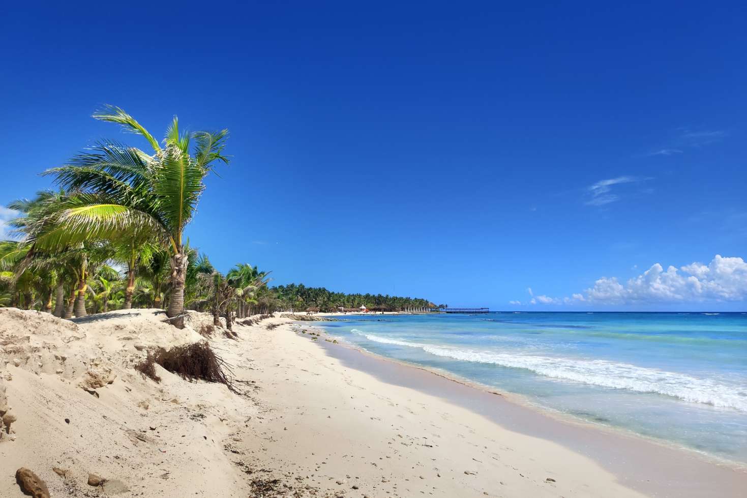 Dive Into Paradise: 5* All-Inclusive Luxury Mexico Escape w/Swim-Out ...